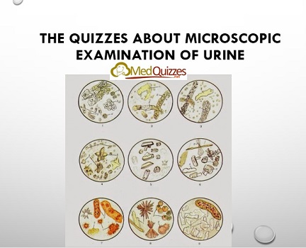 The Quizzes About Microscopic Examination Of Urine 46 Questions
