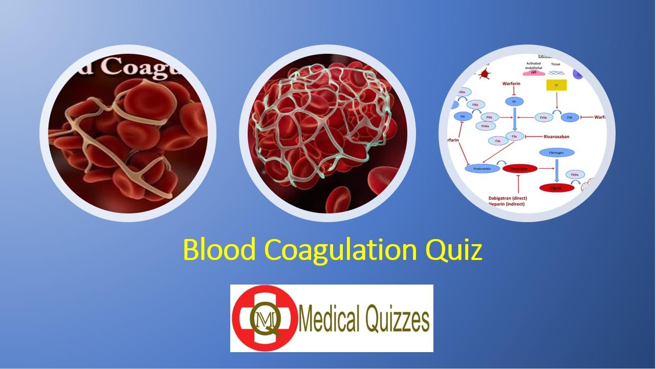 [MCQ] Tuberculosis- Part 1 - MedQuizzes